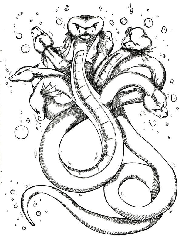 The Hydra of the Orinoco River - Modern Galatea Gallery